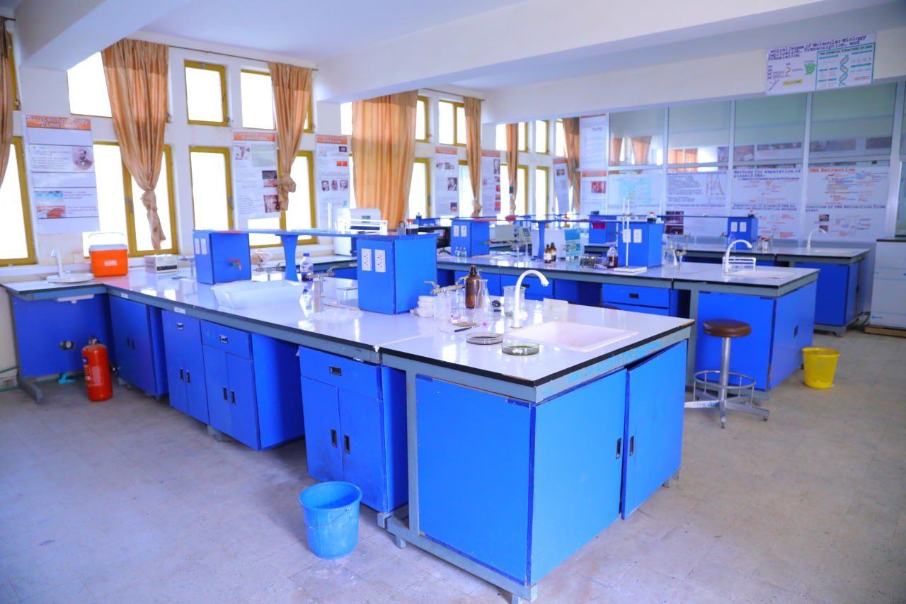 Home - Institute of Biotechnology